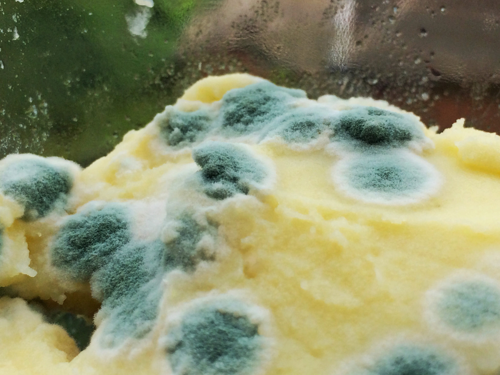 Causes and Solutions for Food Rancidity